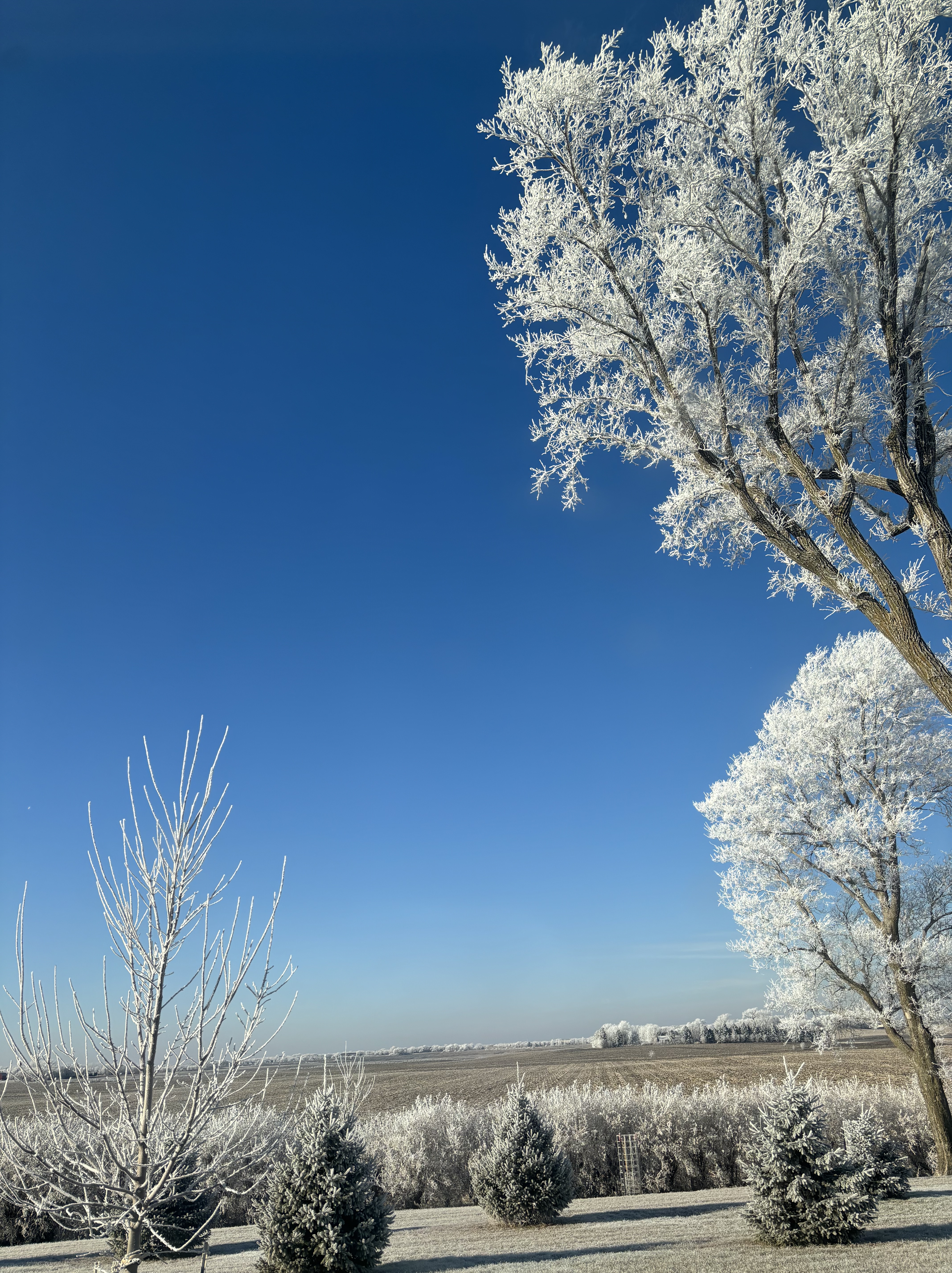 Joy & Injuries in MN – The Adventures of Ms Haps & Arthur